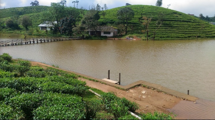 #1 Vagamon Tourist Places | Places to visit in Vagamon |Tourist spots ...